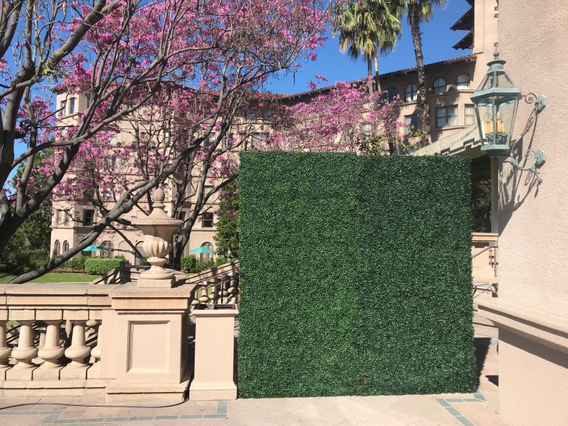 Green Hedge-Event Backdrops- Rental in Los Angeles – King &Queen Throne ...